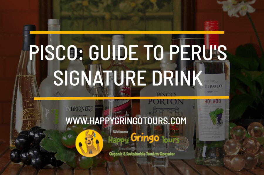 Pisco: Guide to Peru's Signature Drink - Happy Gringo Tours